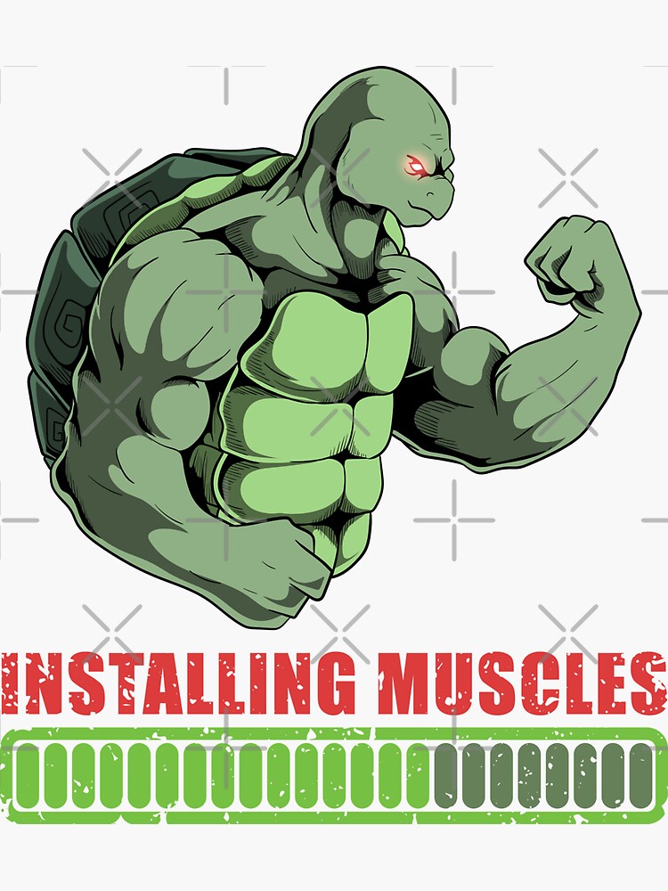Turtle Muscle Growth Teenage Mutant Ninja Turtle Anatomy