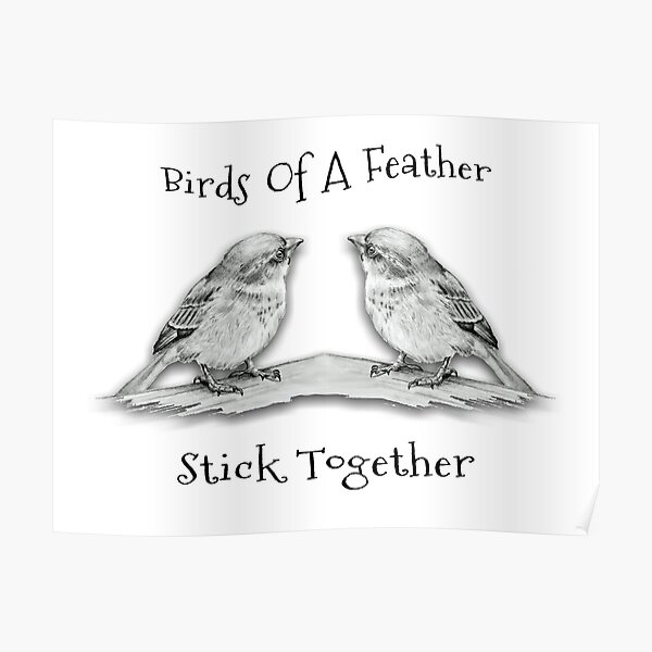 "Birds of a Feather Stick Together, Pencil Drawing, Kindred Spirits ...