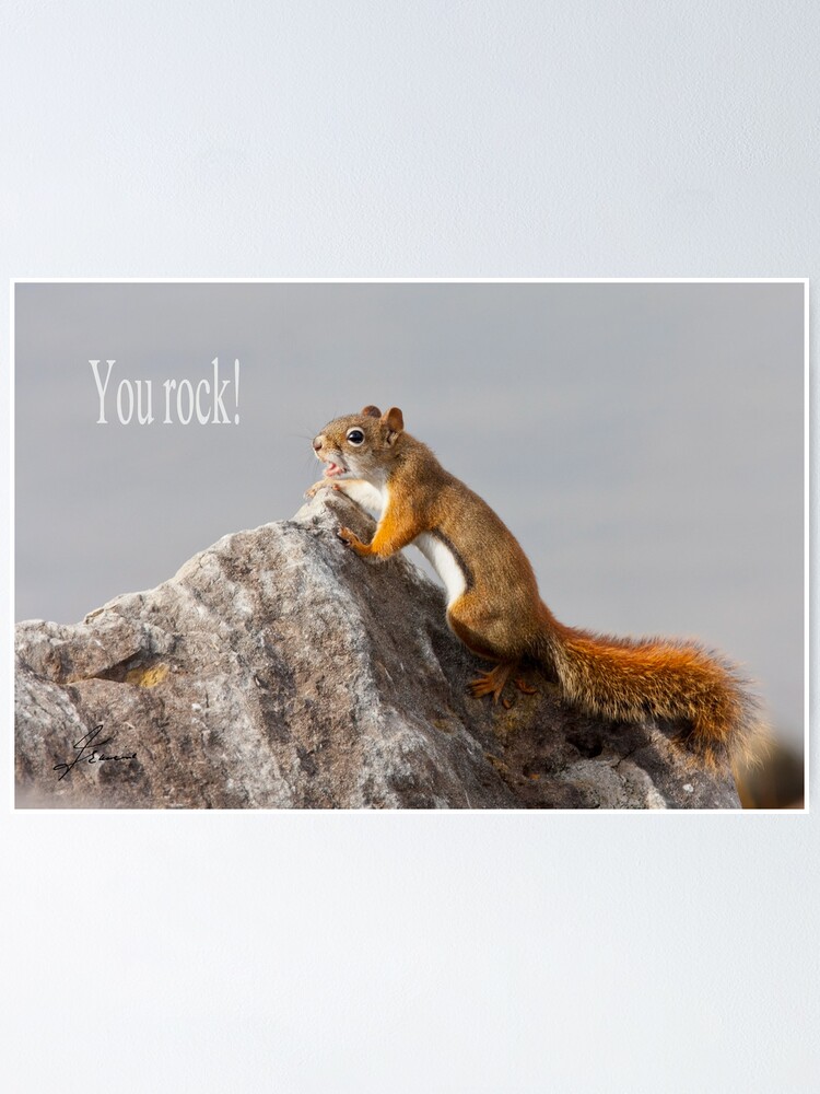 "You rock!" Poster for Sale by DigitallyStill | Redbubble