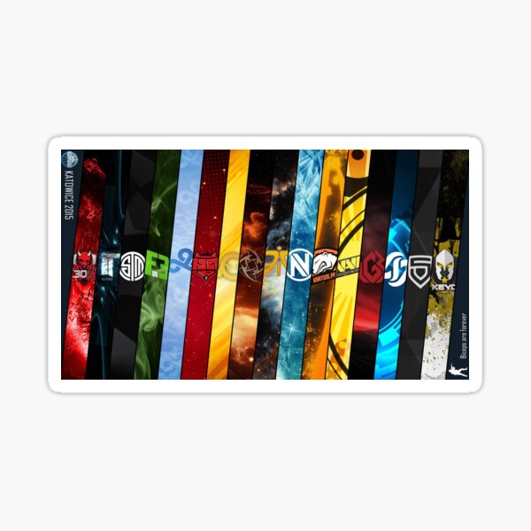 Navi Csgo Stickers | Redbubble