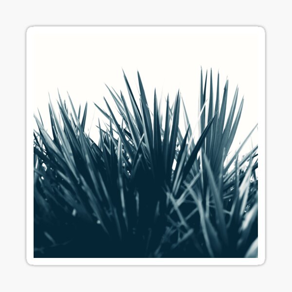 "Cyan Sabal" Sticker for Sale by ALICIABOCK | Redbubble