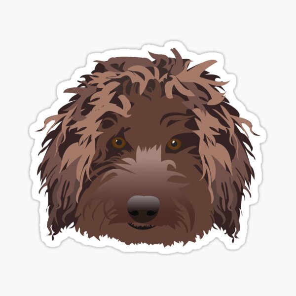 Labradoodle Merch & Gifts for Sale | Redbubble