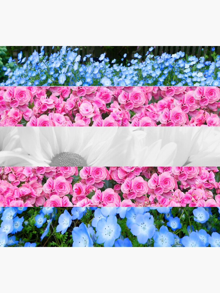 "Flower Trans" Sticker for Sale by PrideSticks | Redbubble