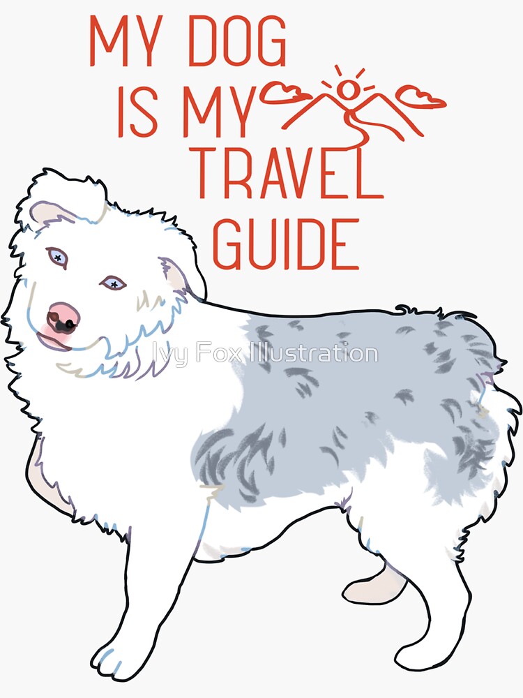 "MY DOG IS MY TRAVEL GUIDE double Merle Australian Shepherd " Sticker ...