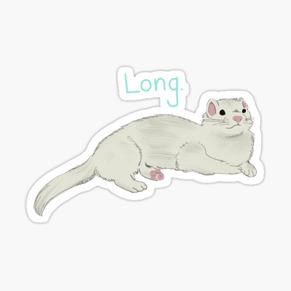 Furret Gifts & Merchandise | Redbubble