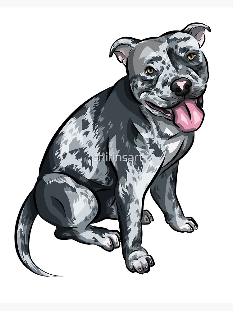 "American Bully | Merle | Cute Cartoon Dog Art" Art Board Print for ...
