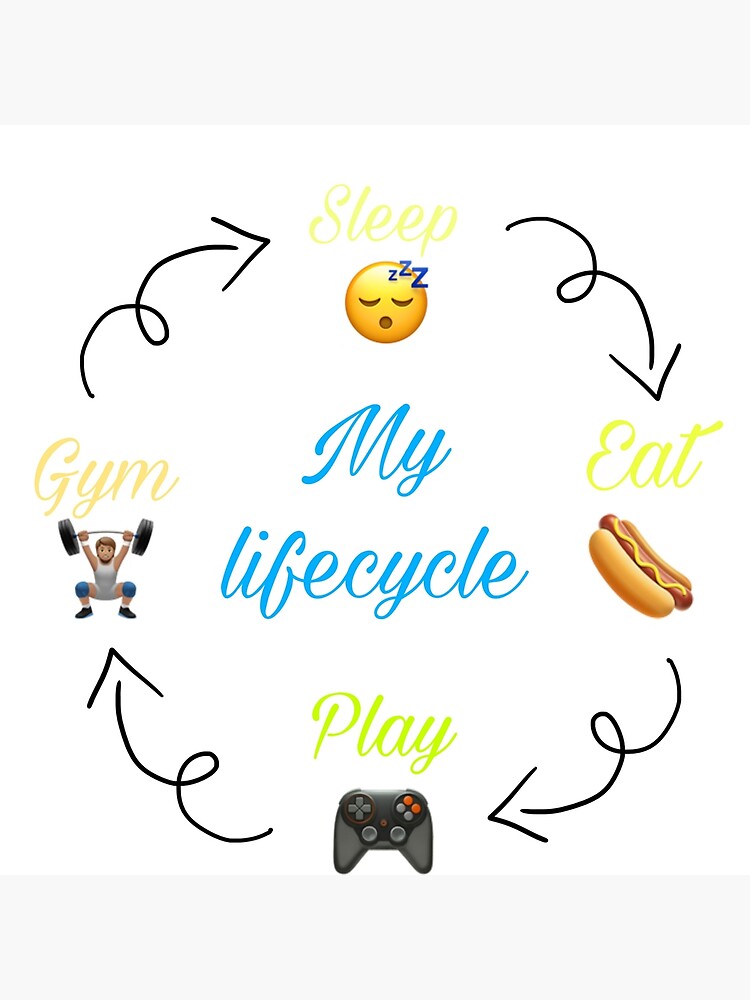 "Lifecycle memes" Poster for Sale by luaybilal | Redbubble