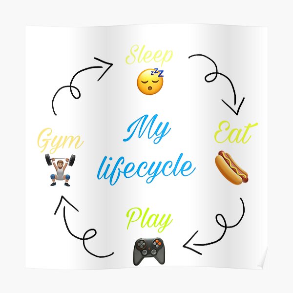 "Lifecycle memes" Poster for Sale by luaybilal | Redbubble