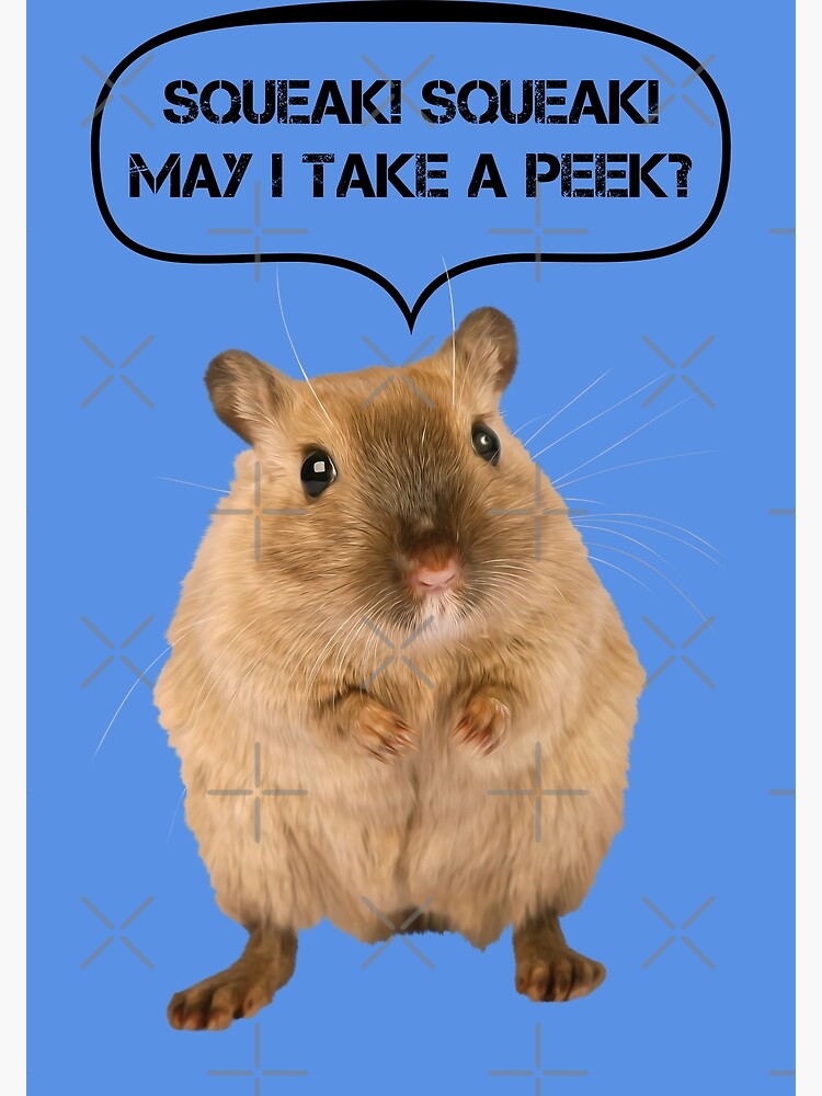 "Hamster Squeak" Poster by MonkeyBusinessC | Redbubble