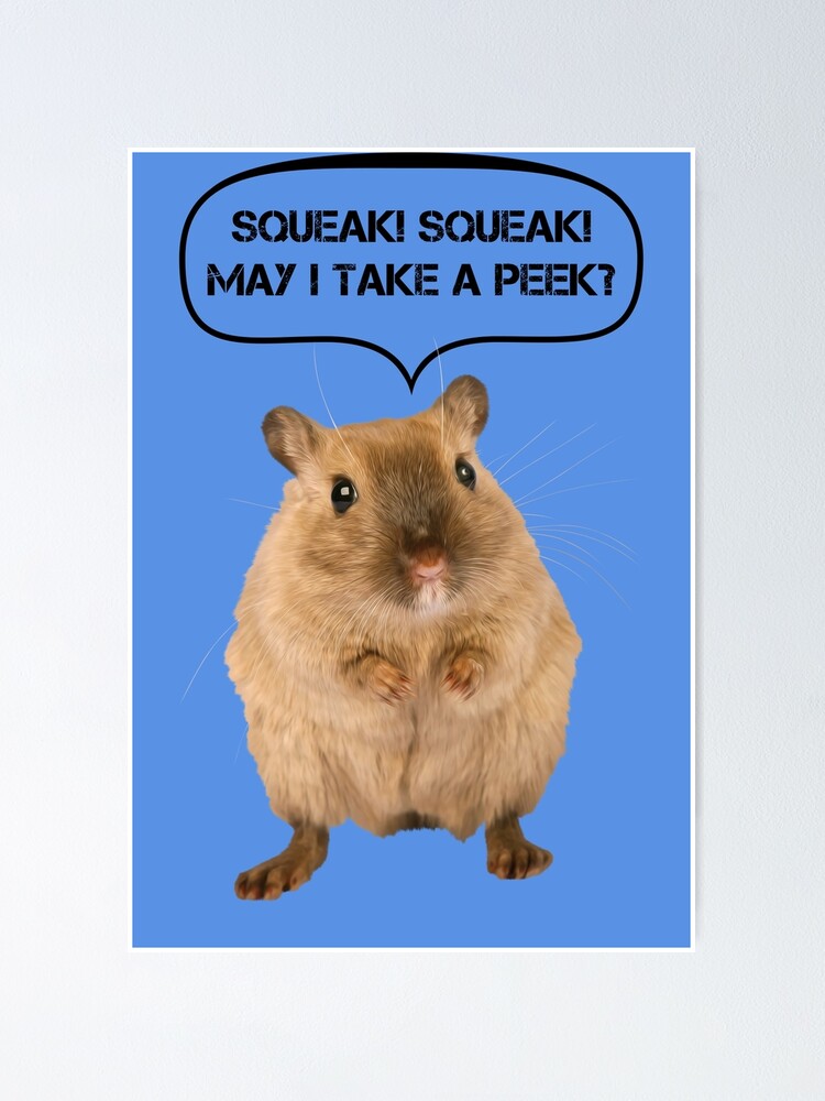 "Hamster Squeak" Poster by MonkeyBusinessC | Redbubble