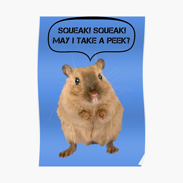 "Hamster Squeak" Poster by MonkeyBusinessC | Redbubble