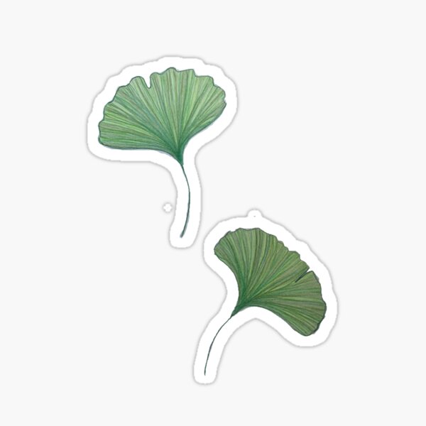 "Two Ginkgo Leaves" Sticker for Sale by gretchfish | Redbubble