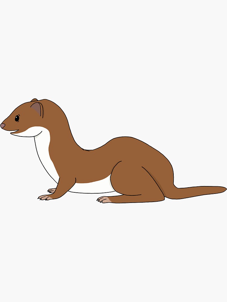 "Weasel" Sticker for Sale by stickerstone | Redbubble