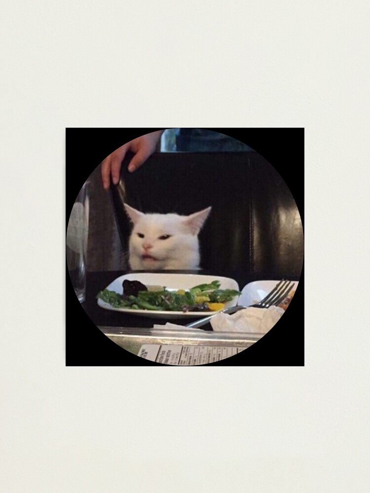 "Confused Salad Cat Meme" Photographic Print for Sale by cattomewmes ...