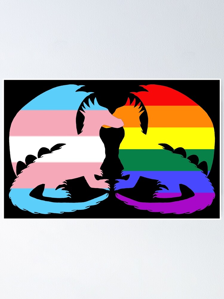 Gay Trans Pride Dragons Poster By Shaneisadragon Redbubble