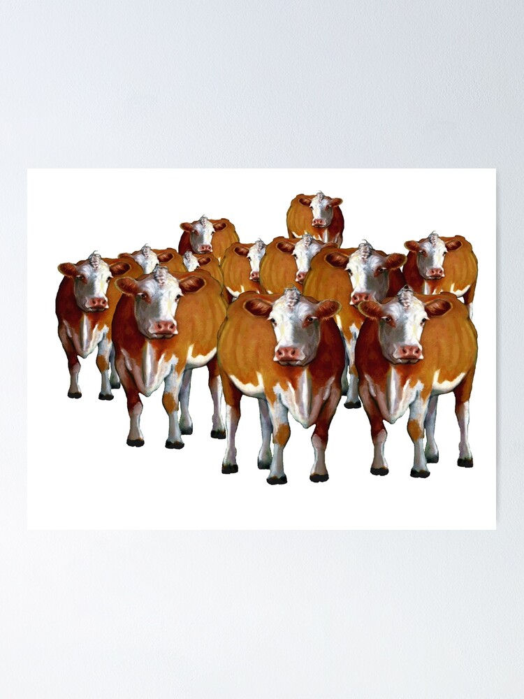 "Crowd of Cows: Original Art, Cattle, Livestock" Poster by Joyce ...