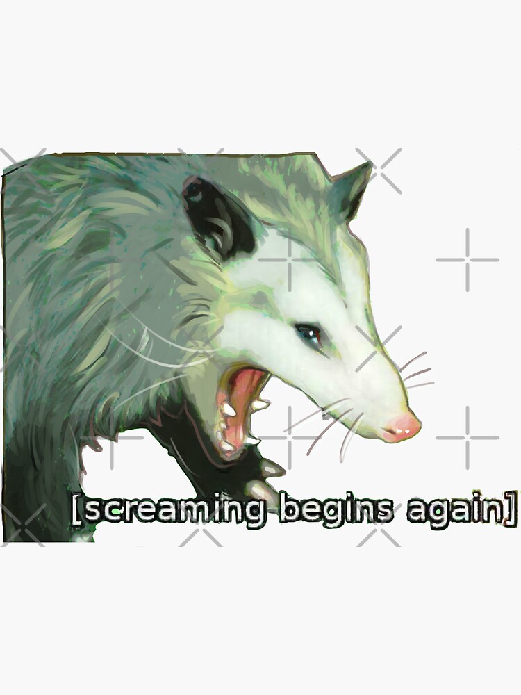 "SCREAMING BEGINS AGAIN Possum Meme" Sticker for Sale by catifex ...