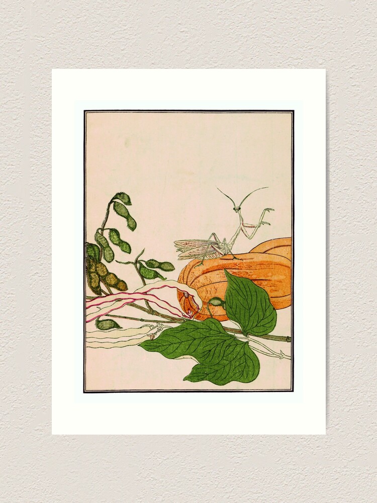 "Kitagawa Utamaro - The Insect Book 06" Art Print by Hangastudio ...