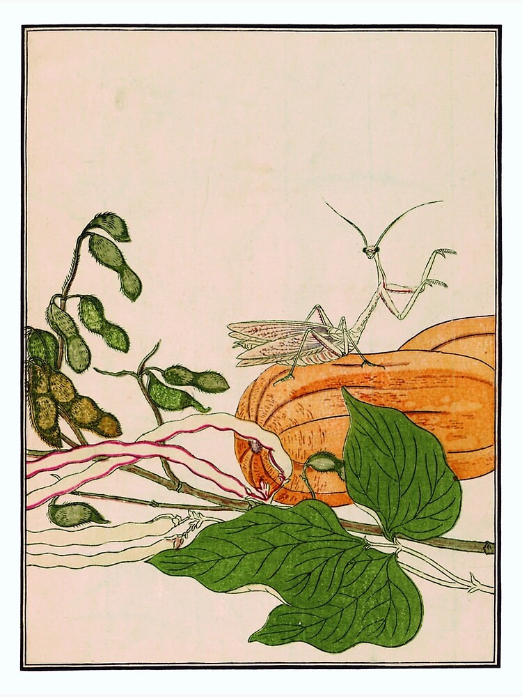 "Kitagawa Utamaro - The Insect Book 06" Art Print by Hangastudio ...