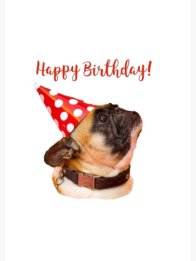 Cuaderno de espiral «Perro Pug de cumpleaños con gorro de fiesta Feliz ...