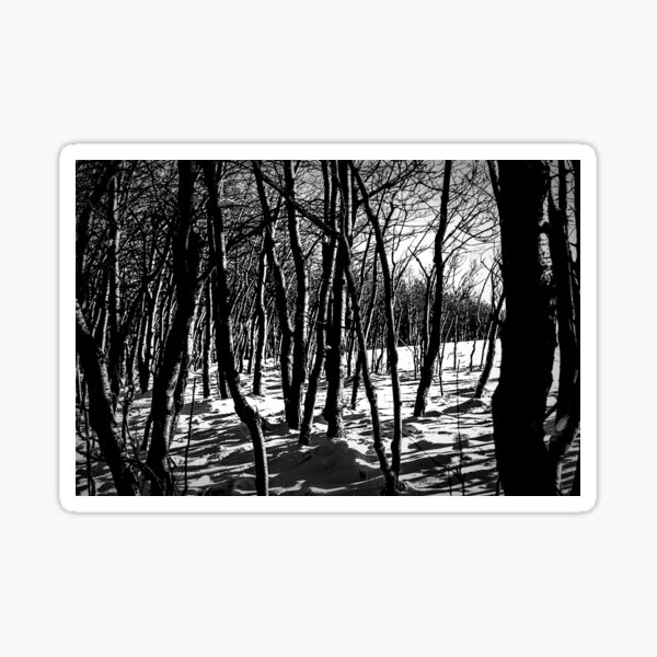 "Winter forest in black and white" Sticker for Sale by CanadianWild418 ...