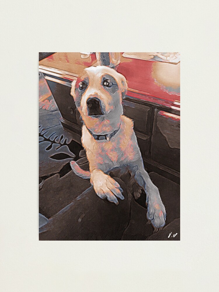 Lámina fotográfica «Dexter el perro V1» de MinnieMaya | Redbubble