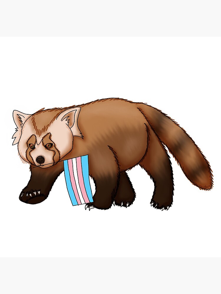"Pride Red Panda-Trans Edition" Poster for Sale by c0ffeewitch | Redbubble