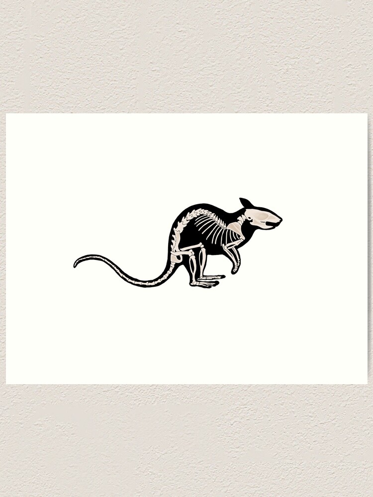 "Rat skeleton" Art Print by rensux | Redbubble