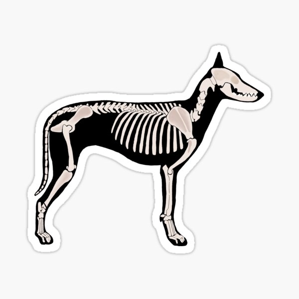 "Dog skeleton" Sticker for Sale by rensux | Redbubble