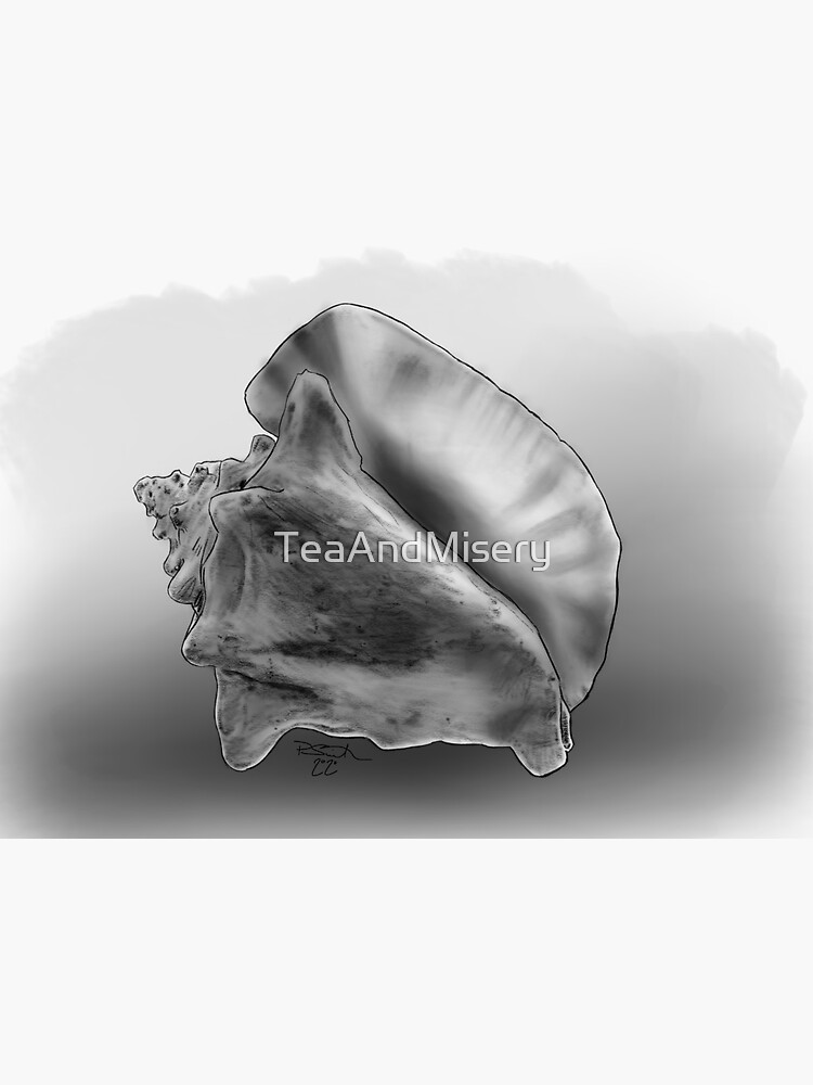 "Conch shell" Sticker by TeaAndMisery | Redbubble