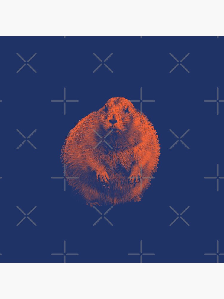 "Marmot pop art style" Sticker by ReensPhotos | Redbubble