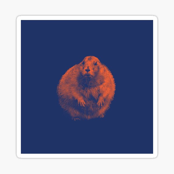 "Marmot pop art style" Sticker by ReensPhotos | Redbubble