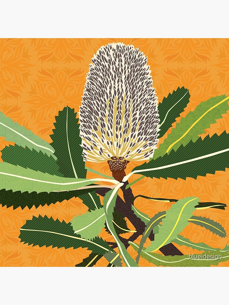 "Banksia Flower Native Australian" Art Print by blueidesign | Redbubble