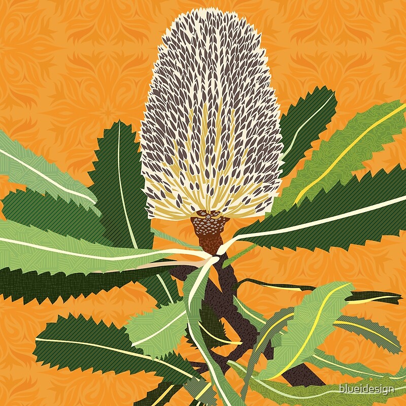 « Banksia Flower Native Australian » par blueidesign | Redbubble