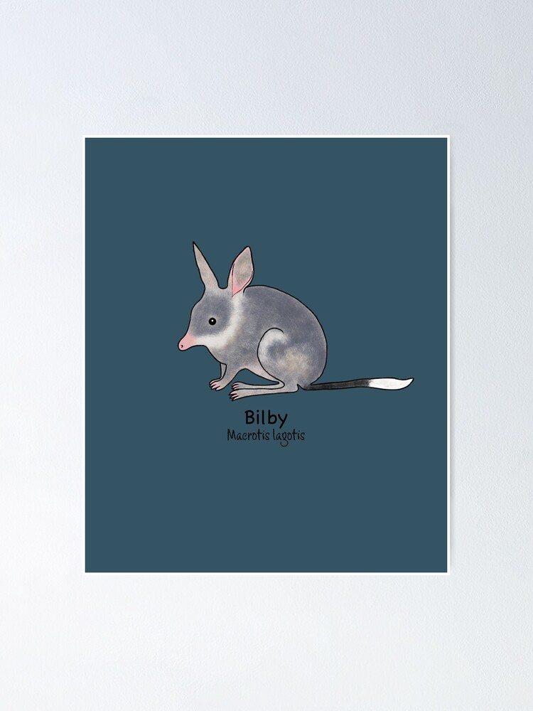"Endangered animals of Australia - Bilby, (Macrotis lagotis)" Poster ...