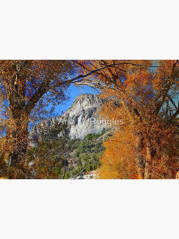 "Goshute Peak" Greeting Card for Sale by Arla Ruggles | Redbubble