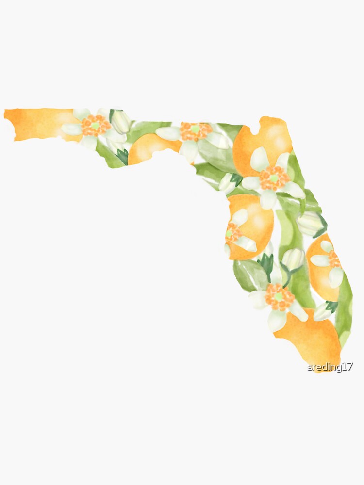 "Florida state outline sticker " Sticker for Sale by sreding17 | Redbubble