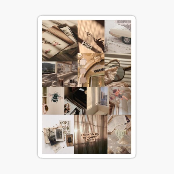 "Beige Aesthetic" Sticker for Sale by pyperds | Redbubble