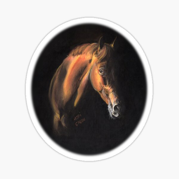 "Out of the shades" Sticker for Sale by Aspi-Galou | Redbubble