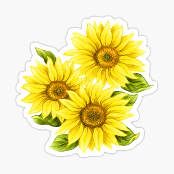 "Painted Yellow Sunflower" Sticker by zakiKhan | Redbubble