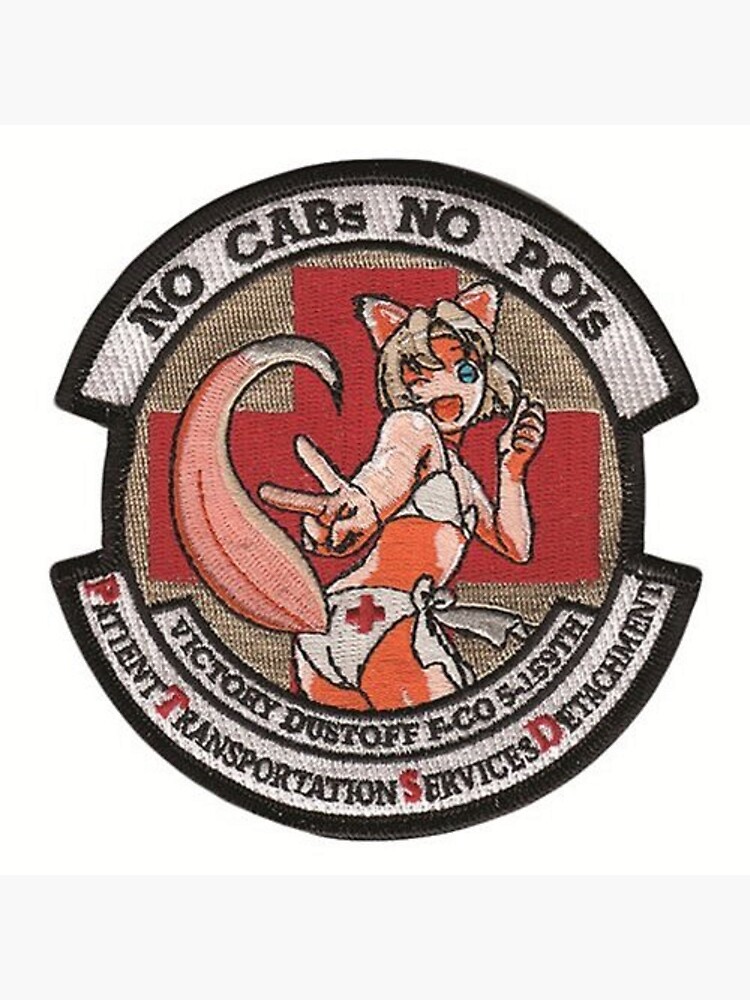 "US Army F5-159 DEVILRAY DUSTOFF MEDEVAC PTSD PATCH STICKER" Art Print ...