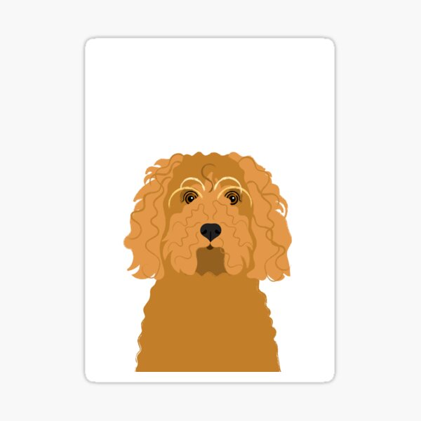 "Cute Cockapoo Portrait" Sticker by AdamRegester | Redbubble