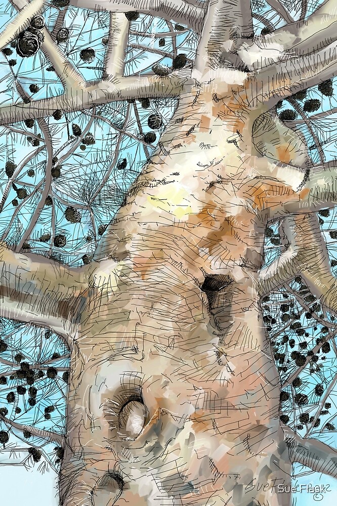 "The Aleppo Tree - 2012" by Sue Flask | Redbubble