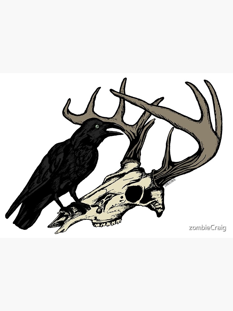 "Raven Perched On Deer Skull" Poster for Sale by zombieCraig | Redbubble