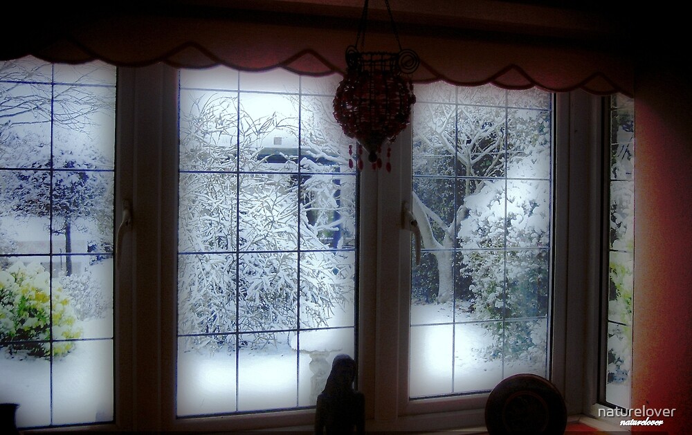 "My Room...My Winter View..." by naturelover | Redbubble