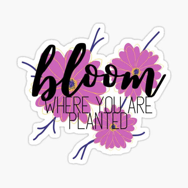 "bloom where you are planted" Sticker for Sale by hez-19 | Redbubble