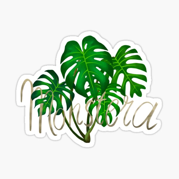 "Swiss Cheese plant/Monstera Tropical Plant" Sticker for Sale by ...