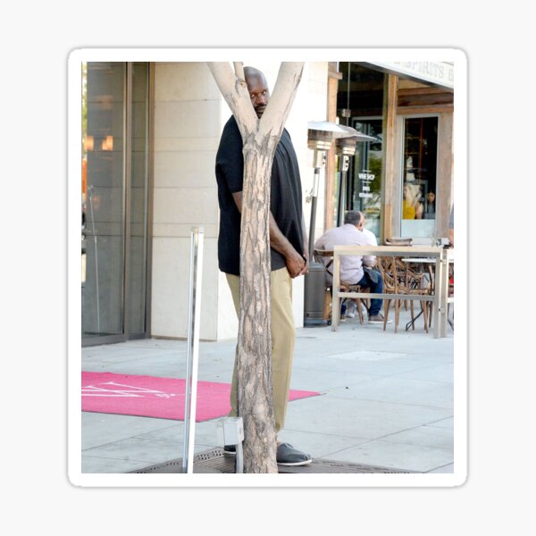 "Shaq behind a tree" Sticker for Sale by Sweetpea9 | Redbubble