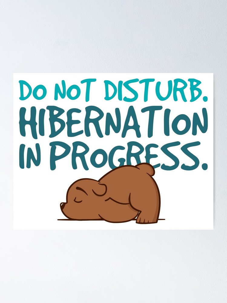 "Hibernation in progress EN" Poster by NiceHatHarry | Redbubble