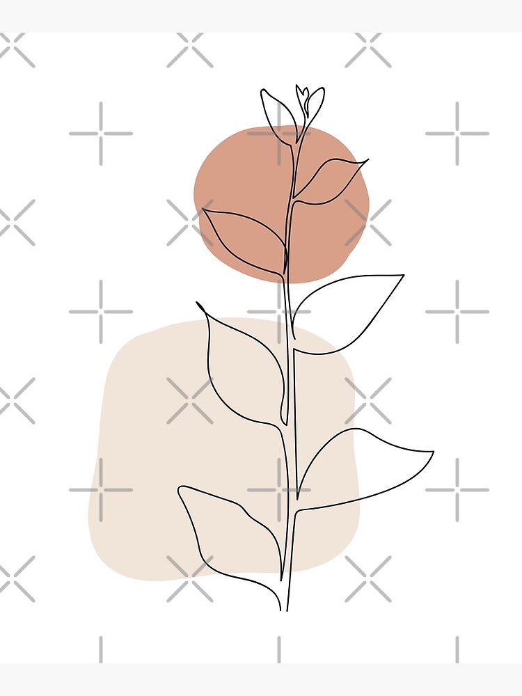 "Sun and Leaves - Modern Minimal Line Drawing Botanical Line Art Mid ...